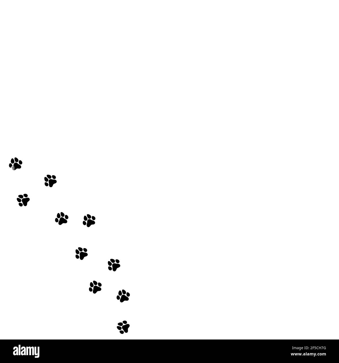 black cat trace. icon isolated on white. Vector flat illustration ...