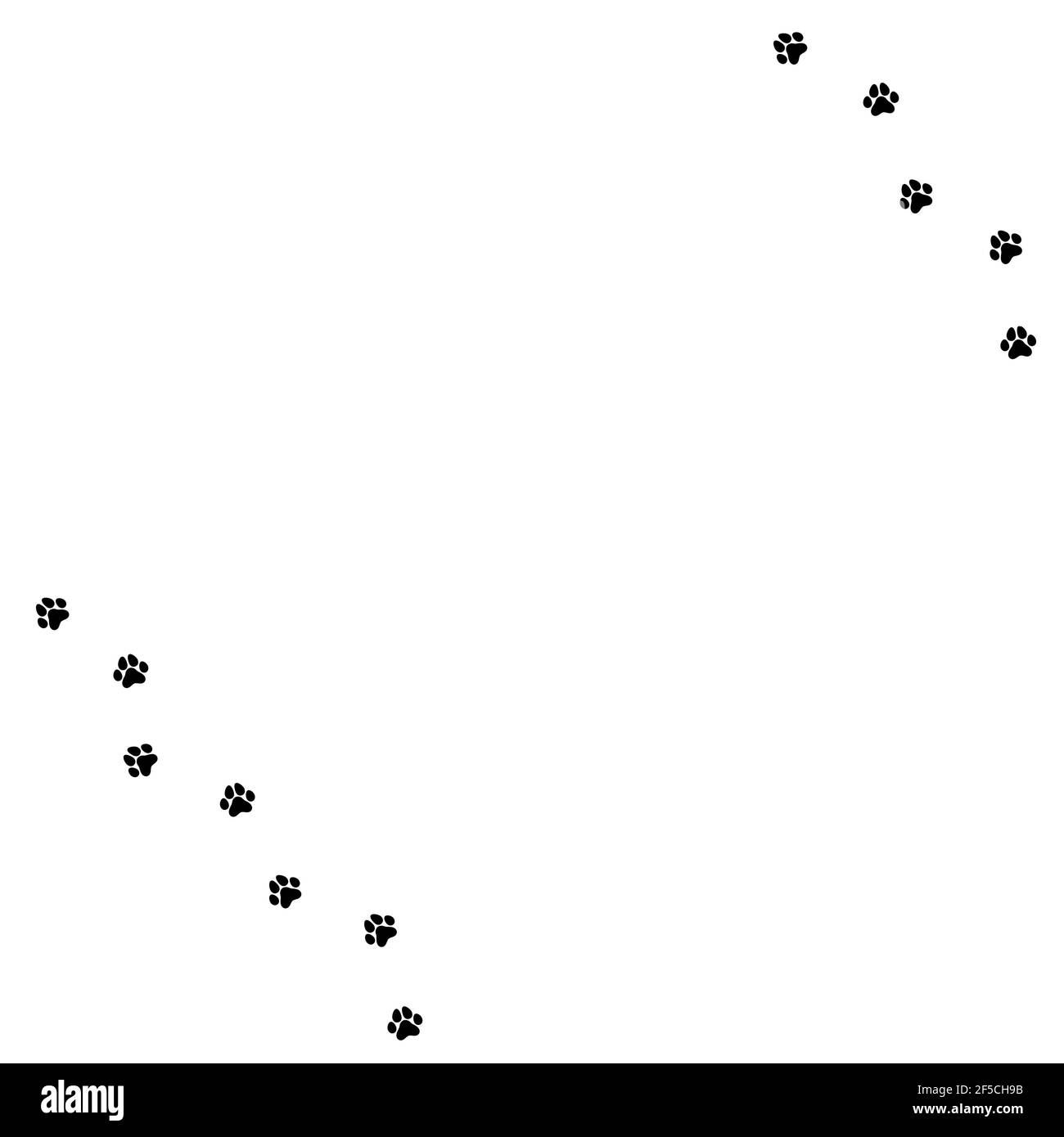 black cat trace. icon isolated on white. Vector flat illustration ...