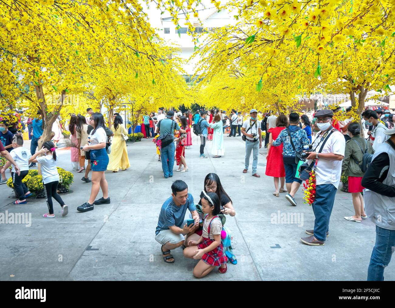 People focus photograph below buried golden apricot trees unique ...