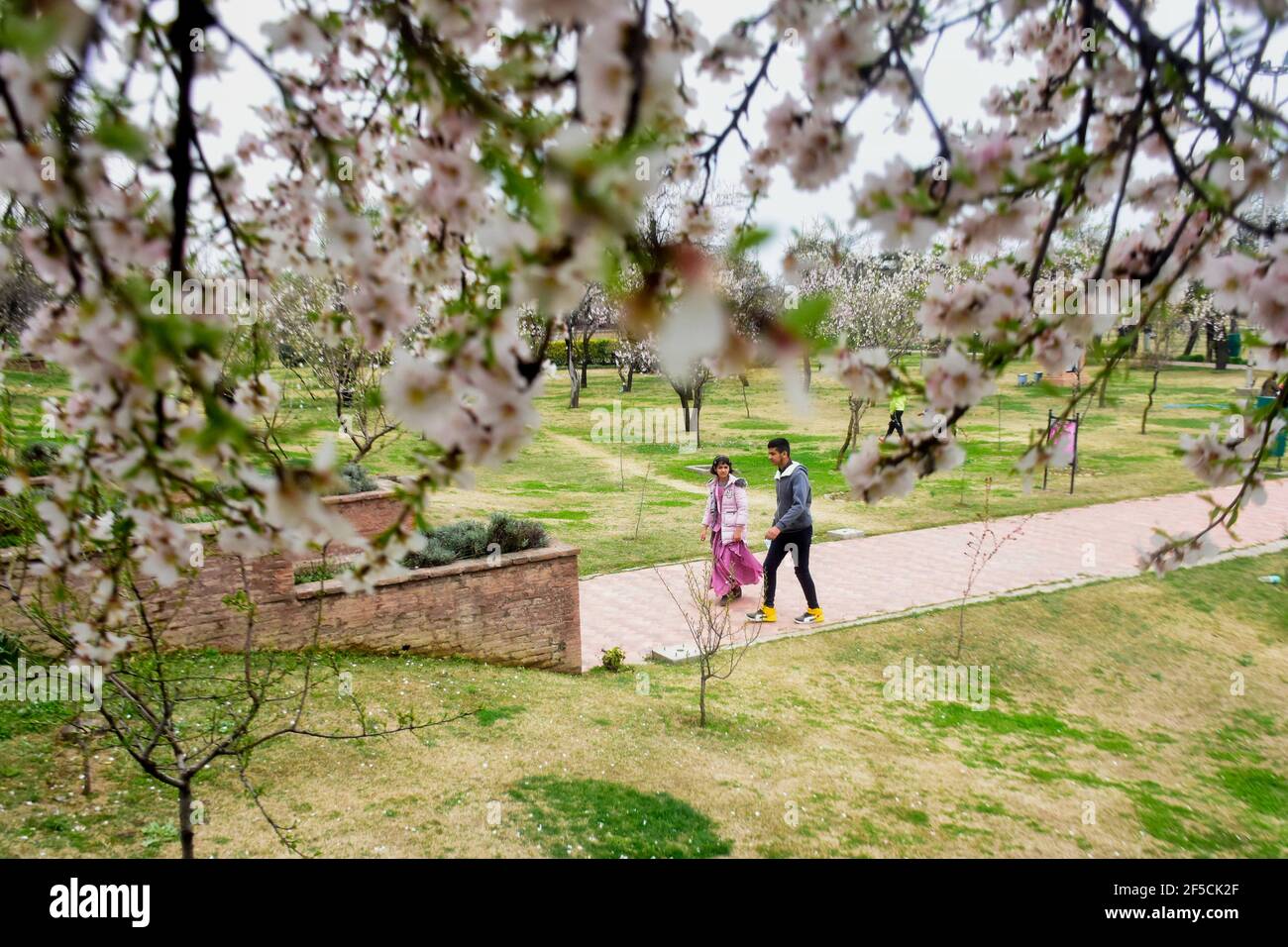 Badamwari garden hi-res stock photography and images - Alamy