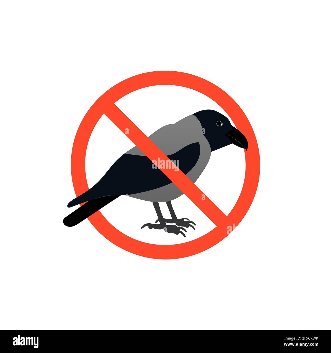 Prohibition sign with gray crow. Isolated on white background Stock ...