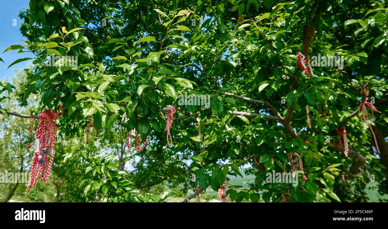 Springtime symbol bulgarian hi-res stock photography and images - Alamy