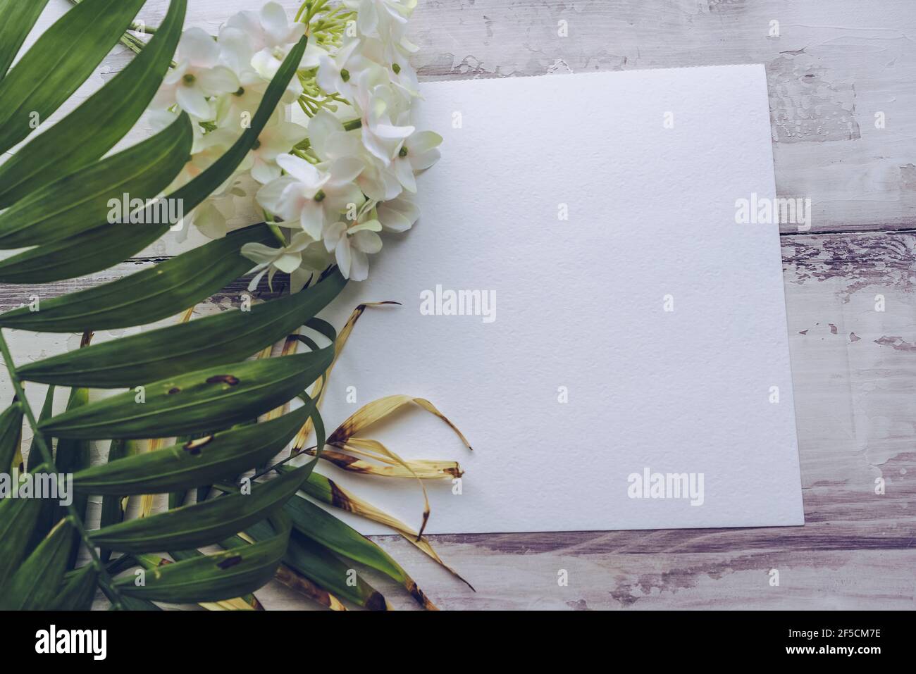 white square blank paper sheet decorated with plam leaf and hydrangea ...