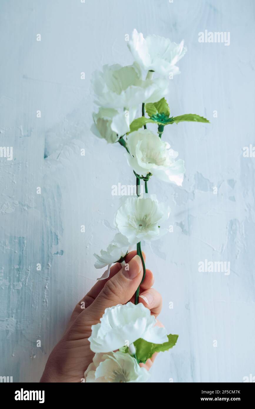 womans hand holding branch of artificial white blooming flowers with ...
