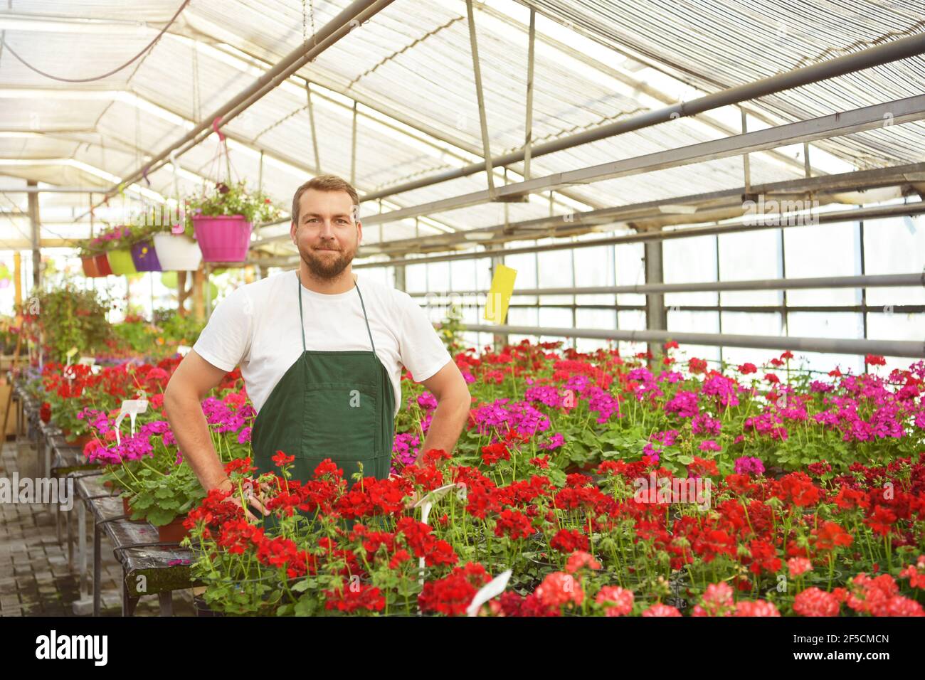 happy worker growing flowers in a greenhouse of a flower shop Stock ...