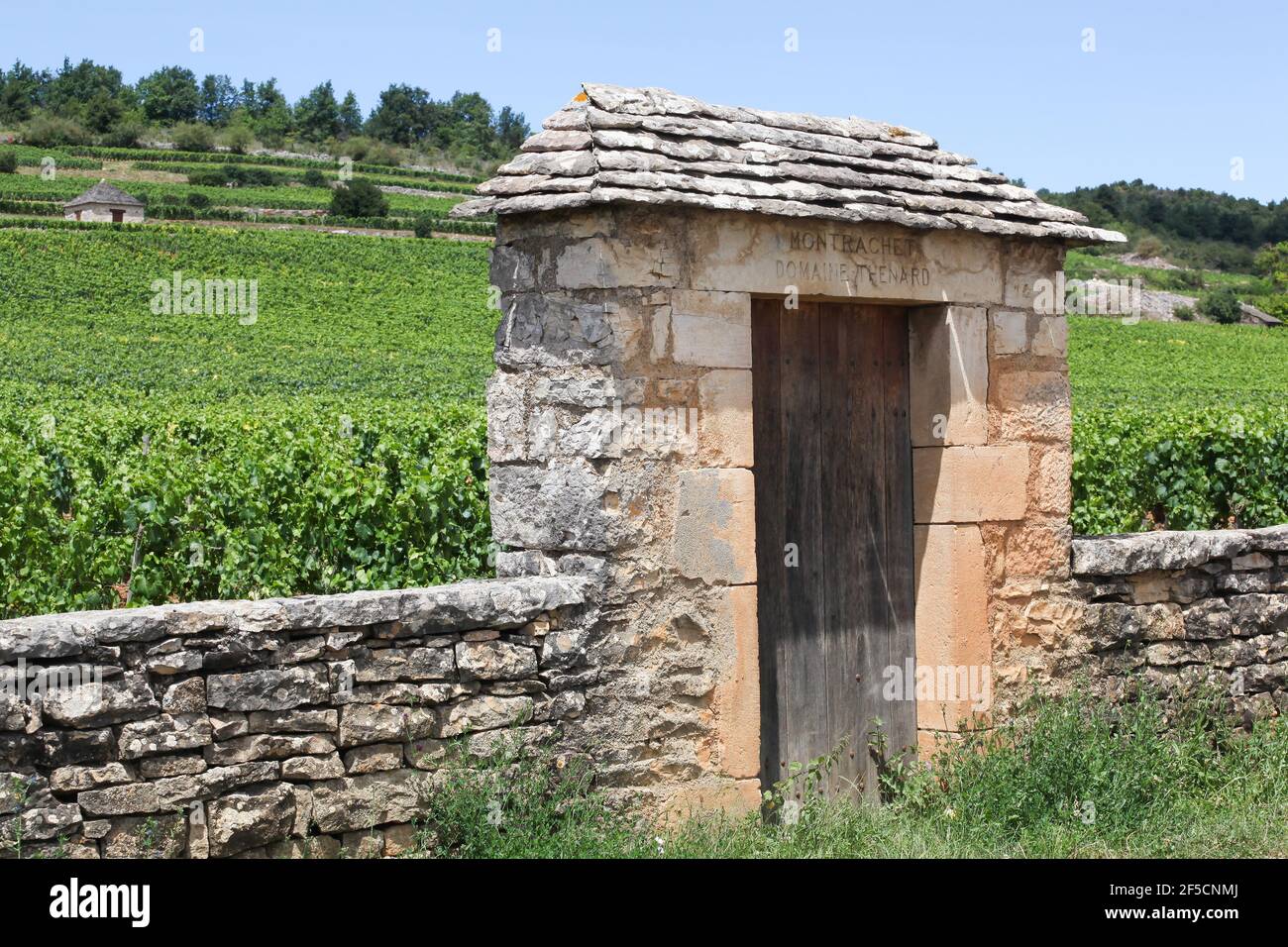 Thenard hi-res stock photography and images - Alamy