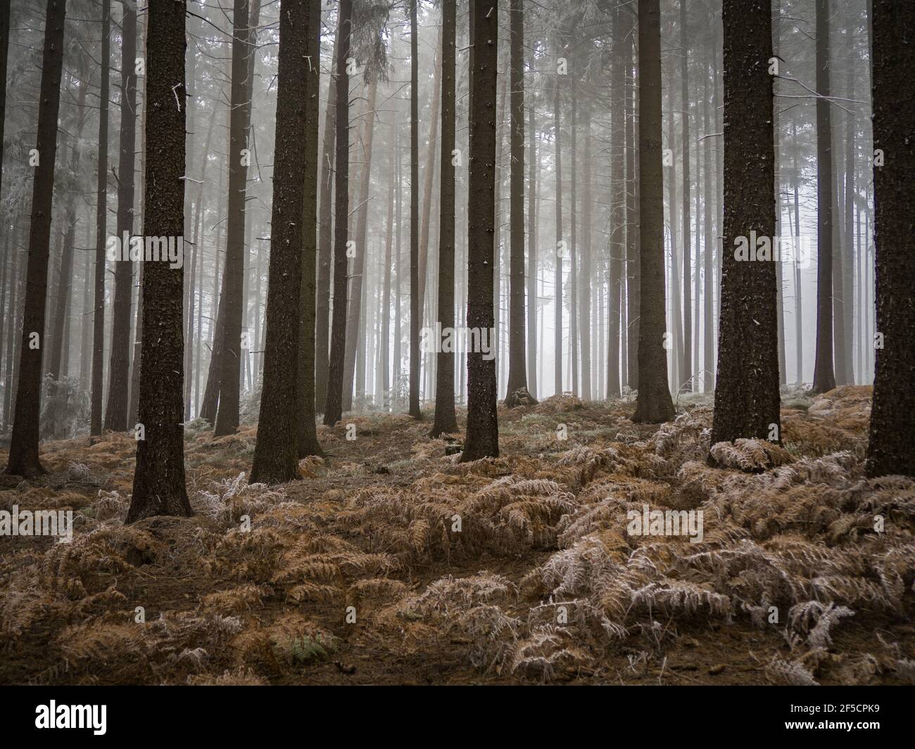 Season spooky hi-res stock photography and images - Alamy