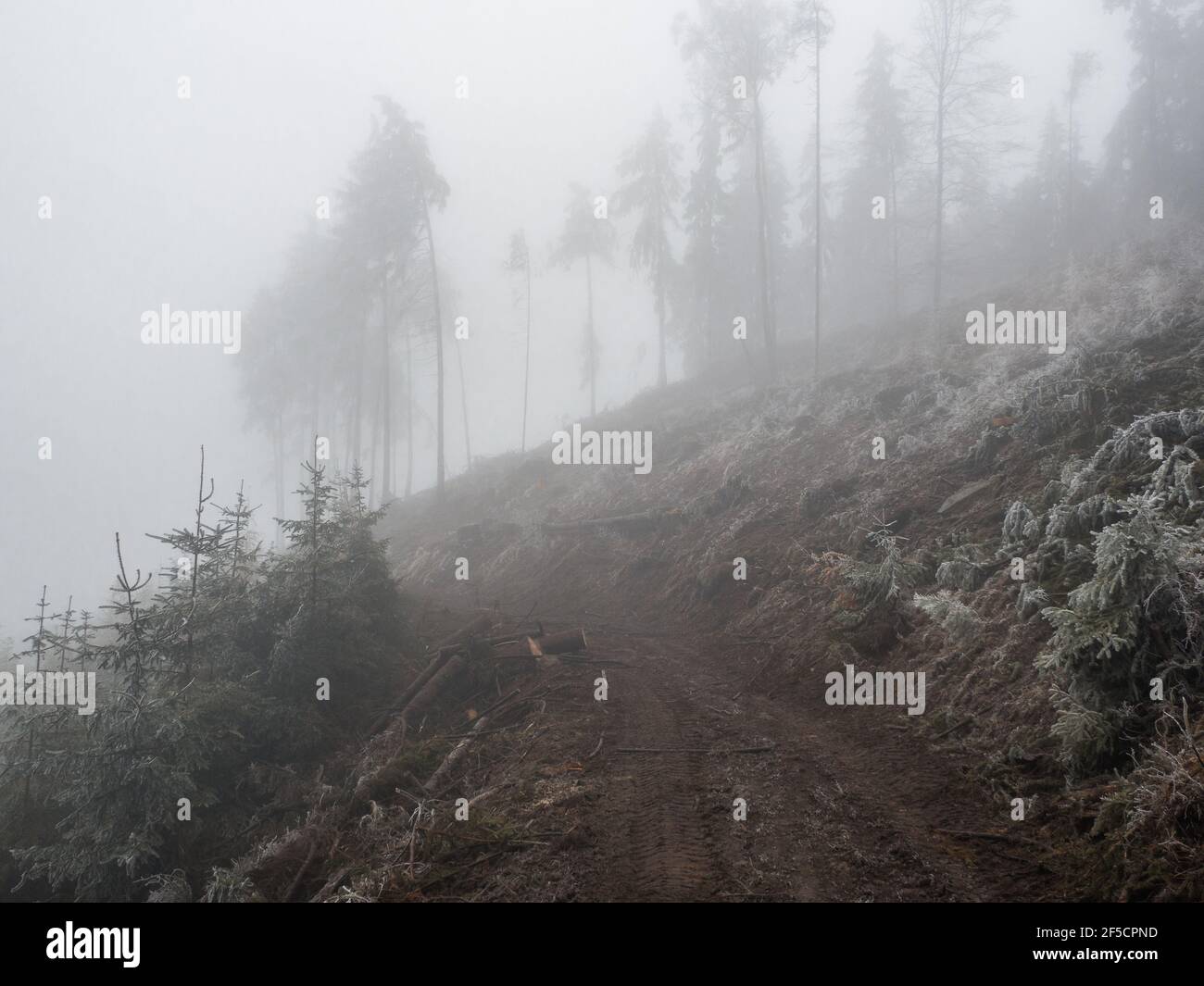The season to be spooky hi-res stock photography and images - Alamy