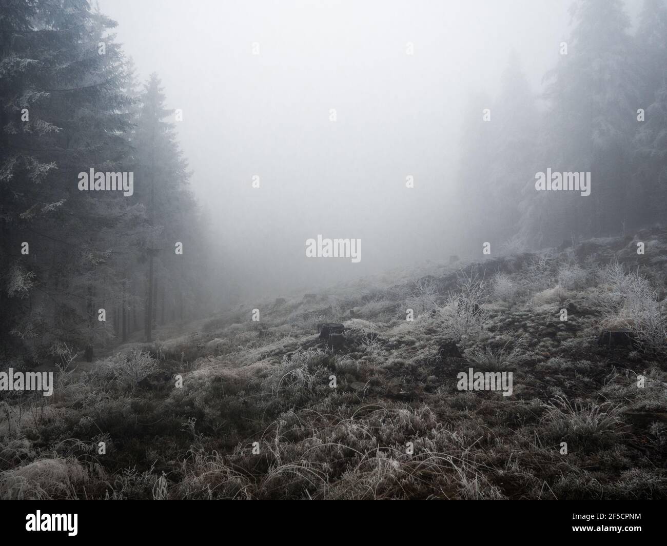 Spooky scenery hi-res stock photography and images - Alamy