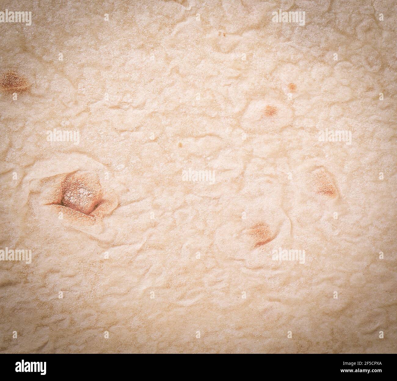 The Tortilla Wrap Bread.Close up texture. Close up Stock Photo - Alamy