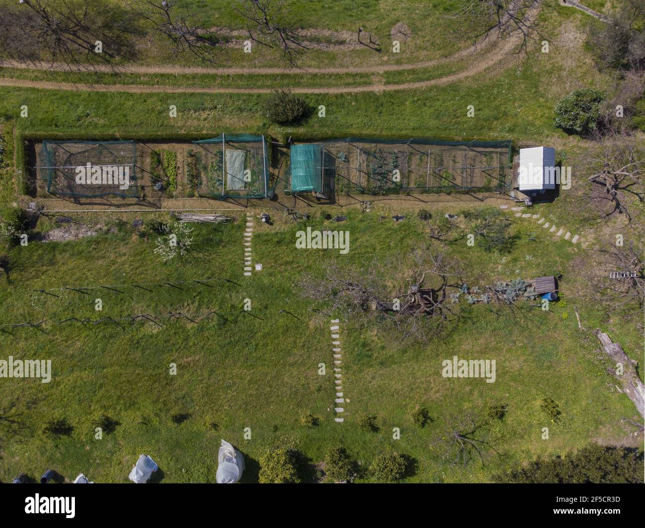 Aerial Photo of My Biological Garden. Drone Photo of Terrace Orchard ...