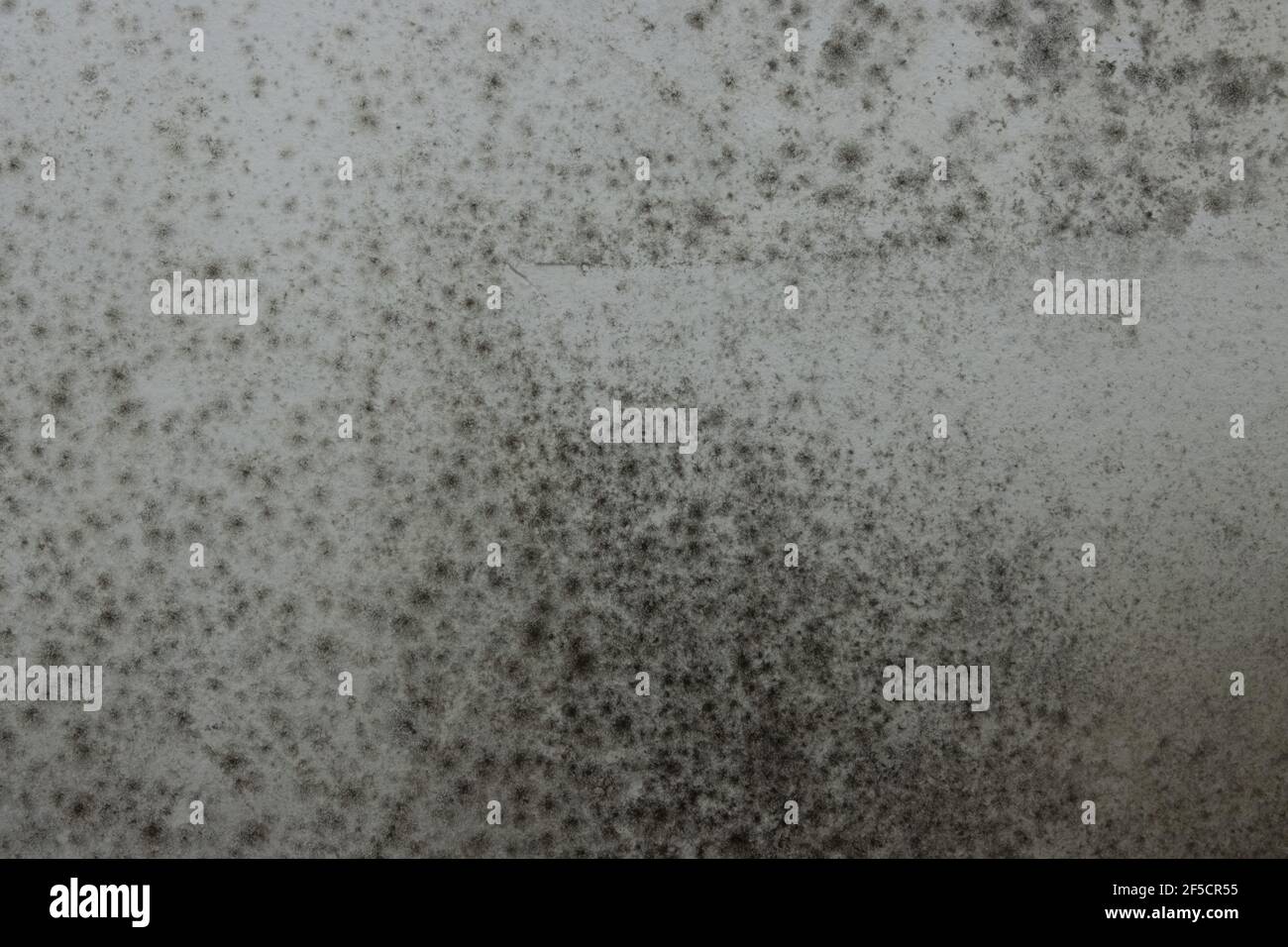 Mold pattern hi-res stock photography and images - Alamy