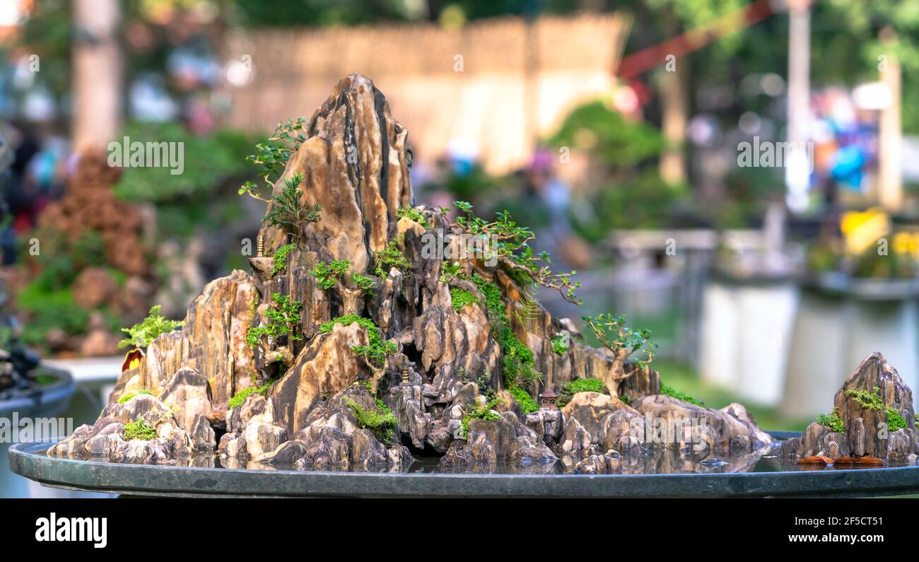 Bonsai and Penjing with miniature in a tray like to say in human life ...