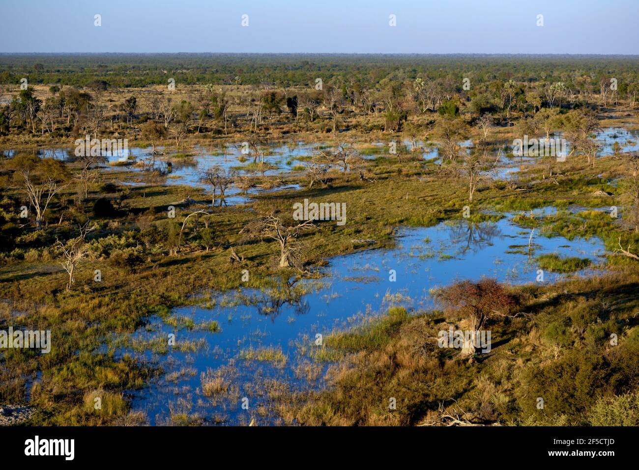 Botswana landscape hi-res stock photography and images - Alamy