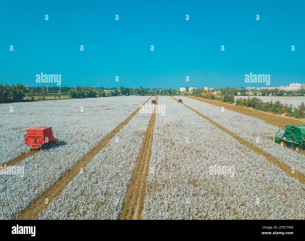 In Yuli County, Bayingoleng Mongolian Autonomous Prefecture, one of the ...