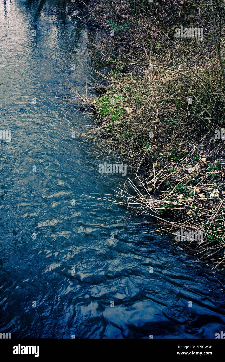 stream of water and bushes near it Stock Photo - Alamy