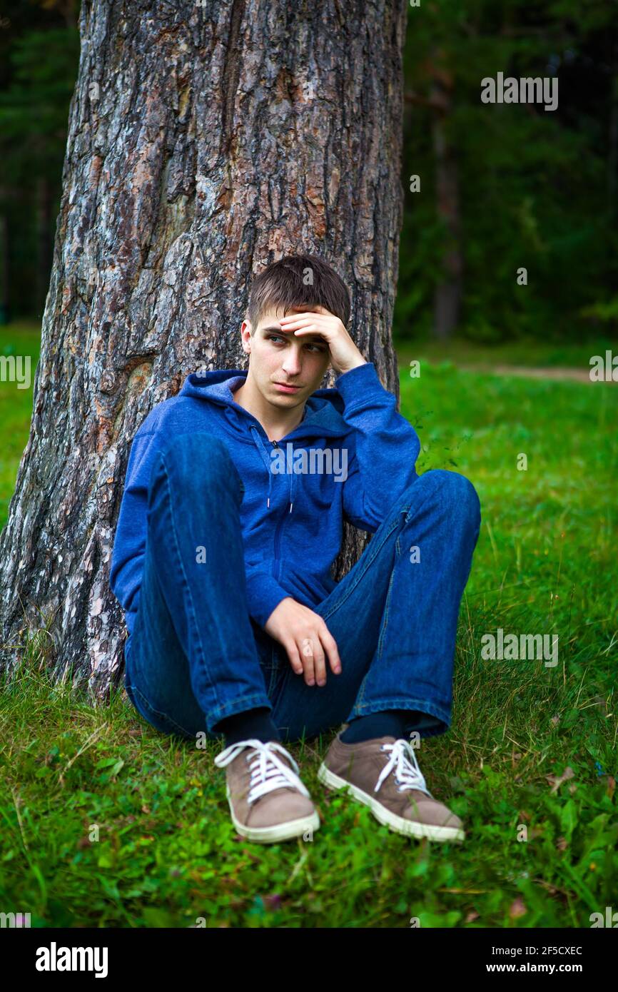 Young Man sit under the Tree in the Park Stock Photo - Alamy