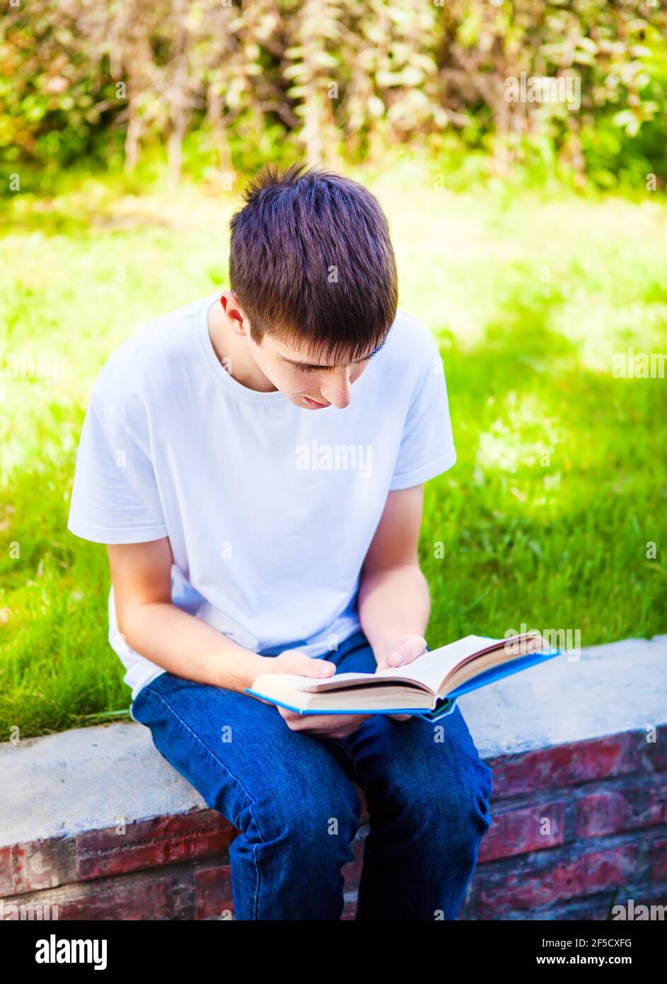 Read a books hi-res stock photography and images - Alamy