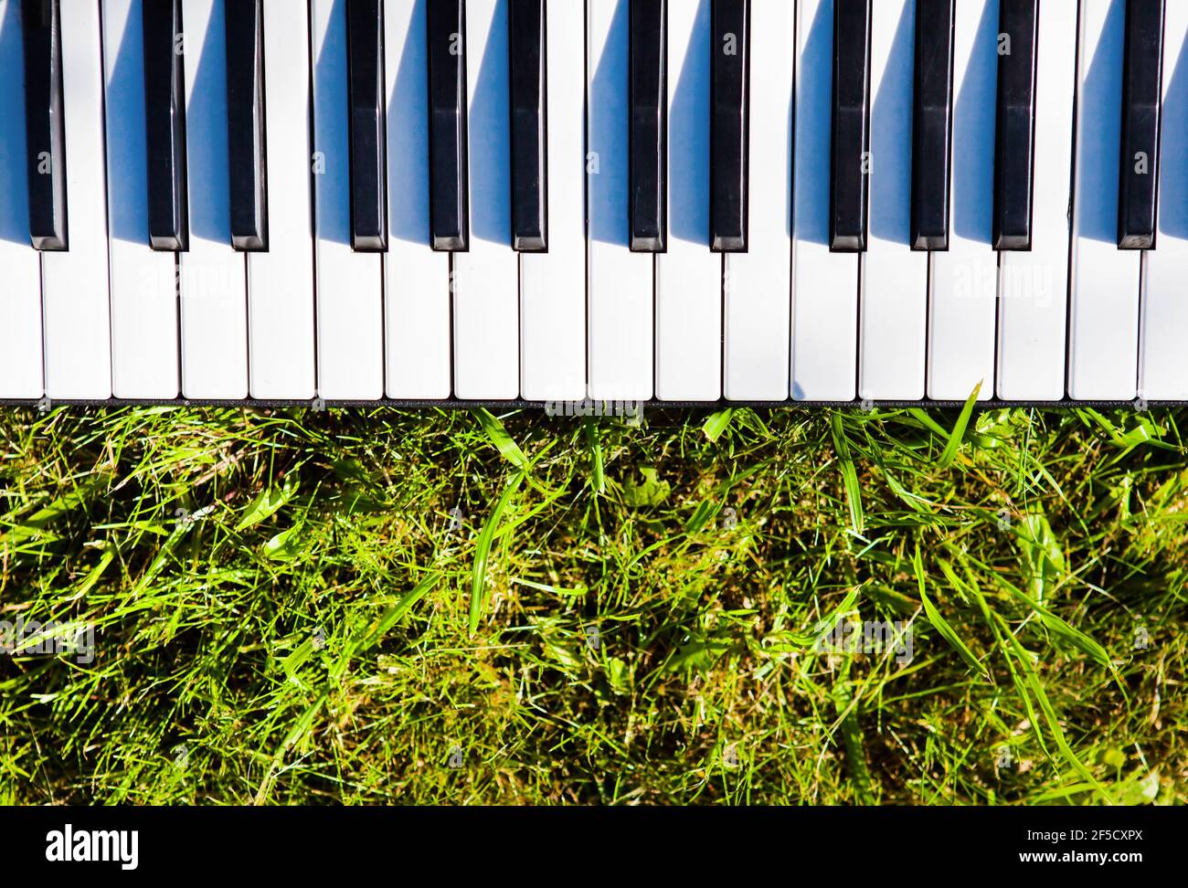 Piano Keyboard closeup on the Green Grass with a Sunlight Stock Photo ...