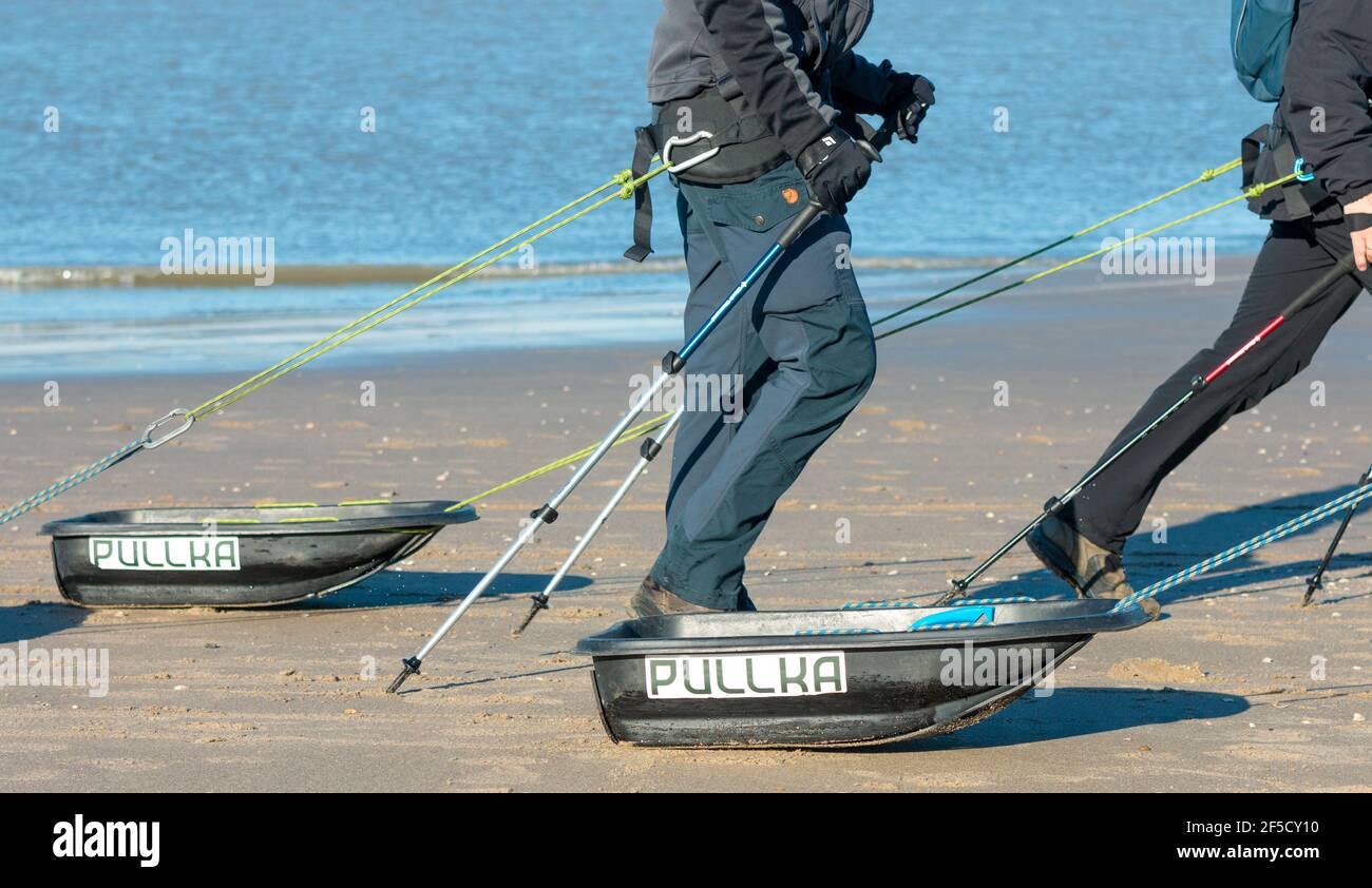 Kijkduin, The Hague, The Netherlands - February 13 2021: nordic walkers ...