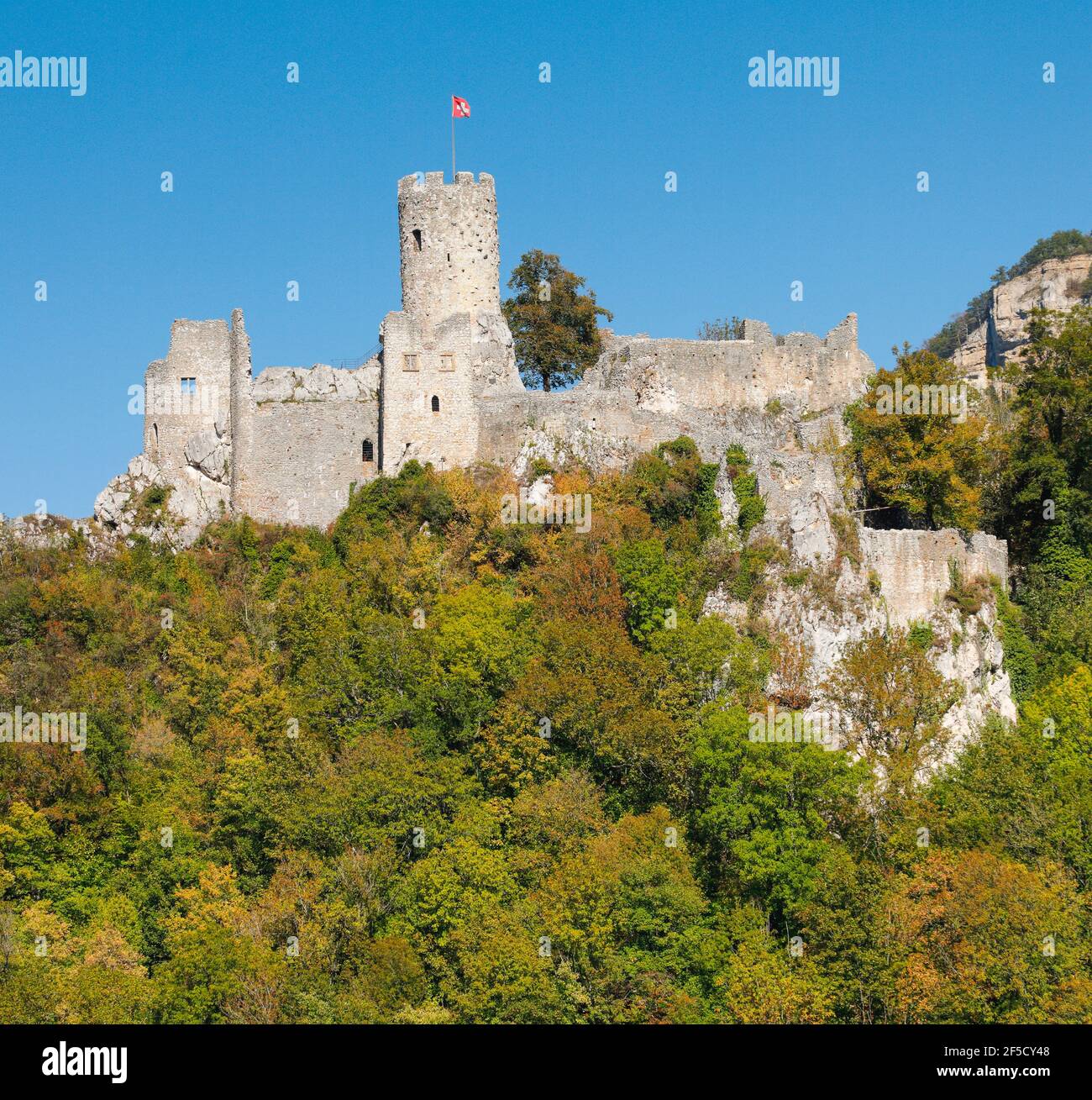 Ruin new falkenstein hi-res stock photography and images - Alamy