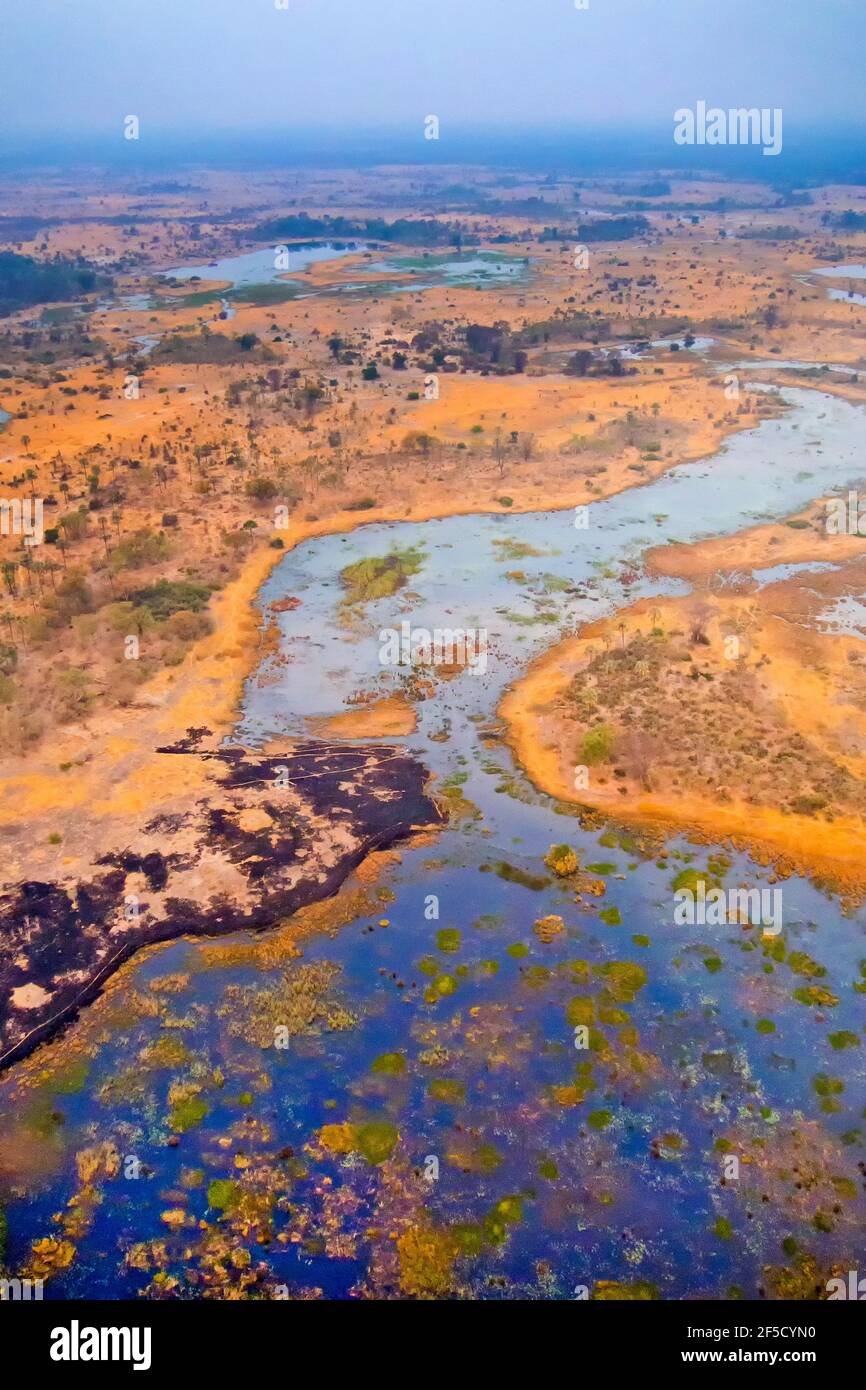 Aerial view, Okavango Wetlands, Okavango Delta, UNESCO World Heritage ...