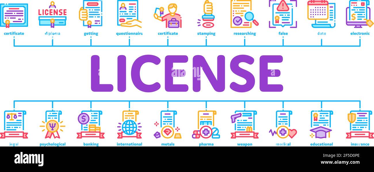 License Certificate Minimal Infographic Banner Vector Stock Vector ...