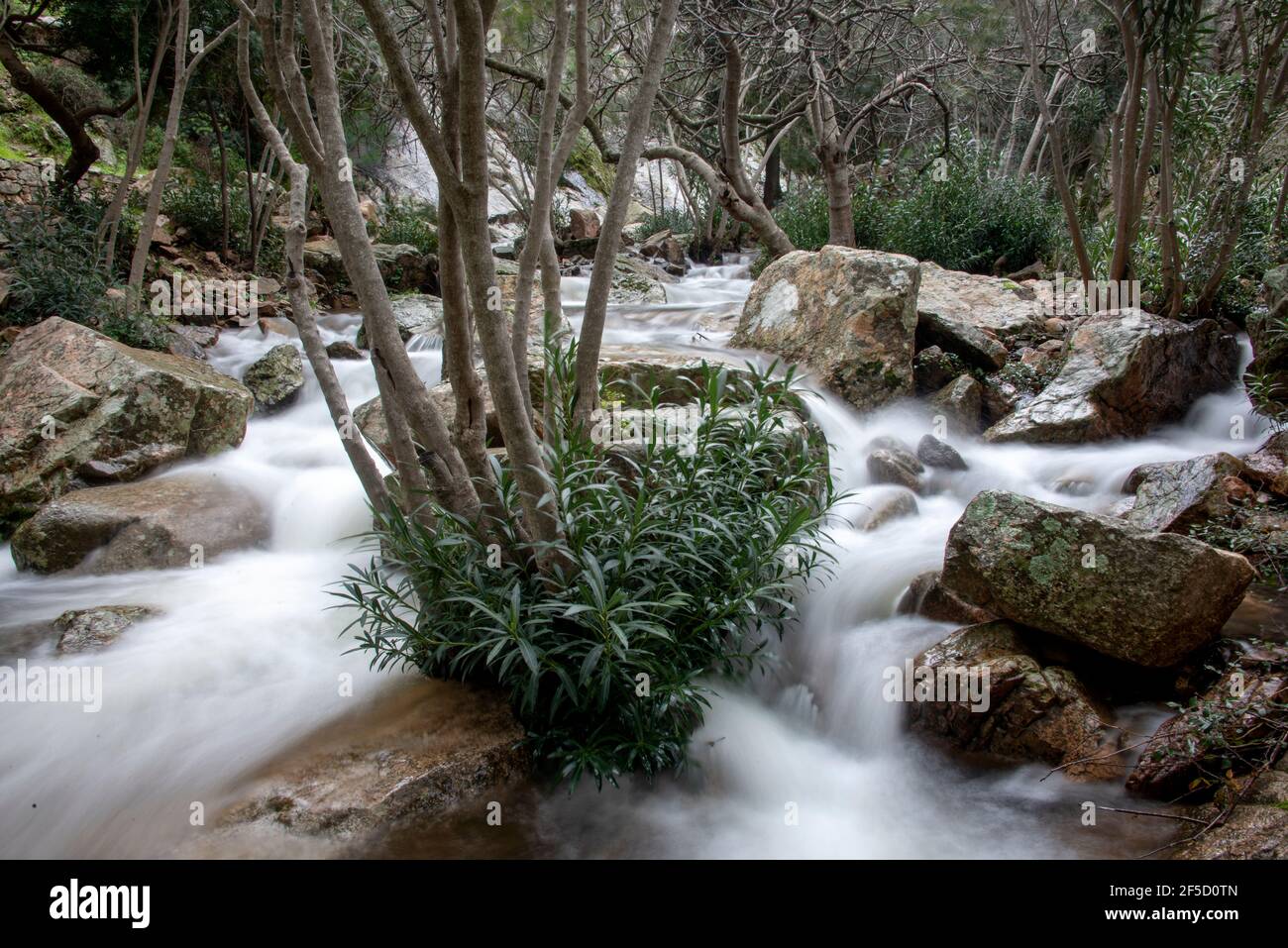 waterfall of sa spendula and water flows through the rocks, Villacidro ...