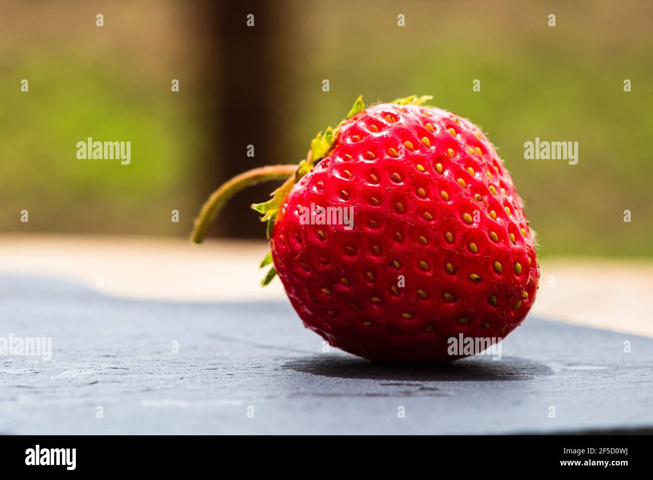 Closeup shot of a fresh strawberry on a blurred back Stock Photo - Alamy