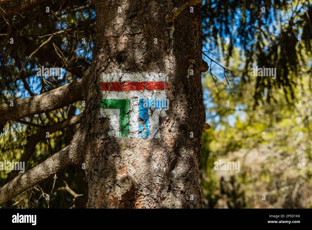 Divergence hi-res stock photography and images - Alamy