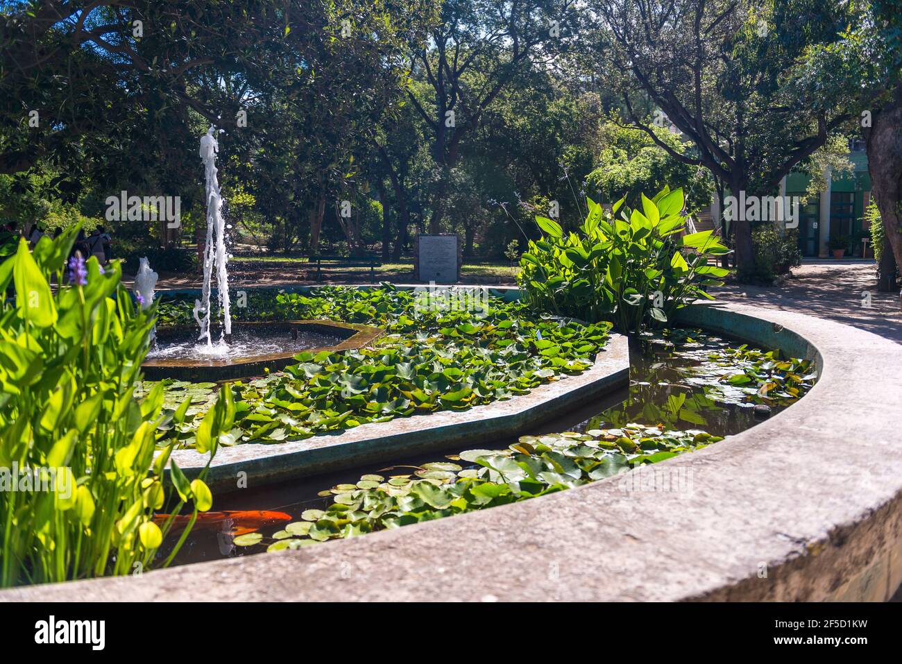 botanical garden of Cagliari, Sardinia Stock Photo - Alamy