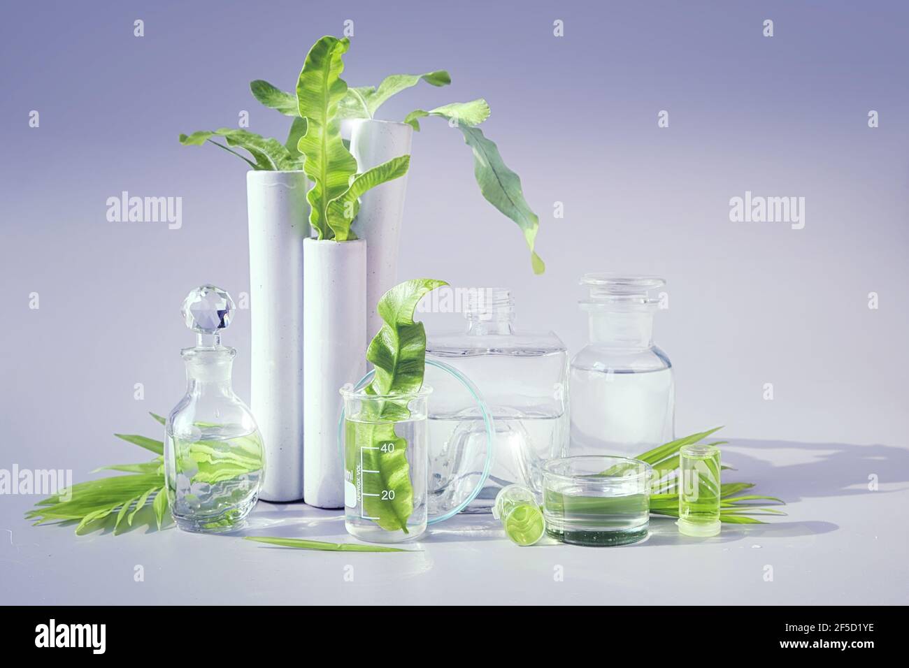 Natural Green laboratory. Abstract floral arrangement on light purple ...