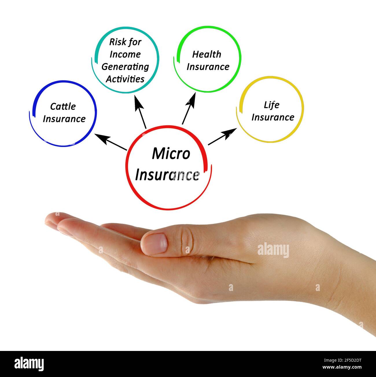 Four Applications for Micro Insurance Stock Photo - Alamy