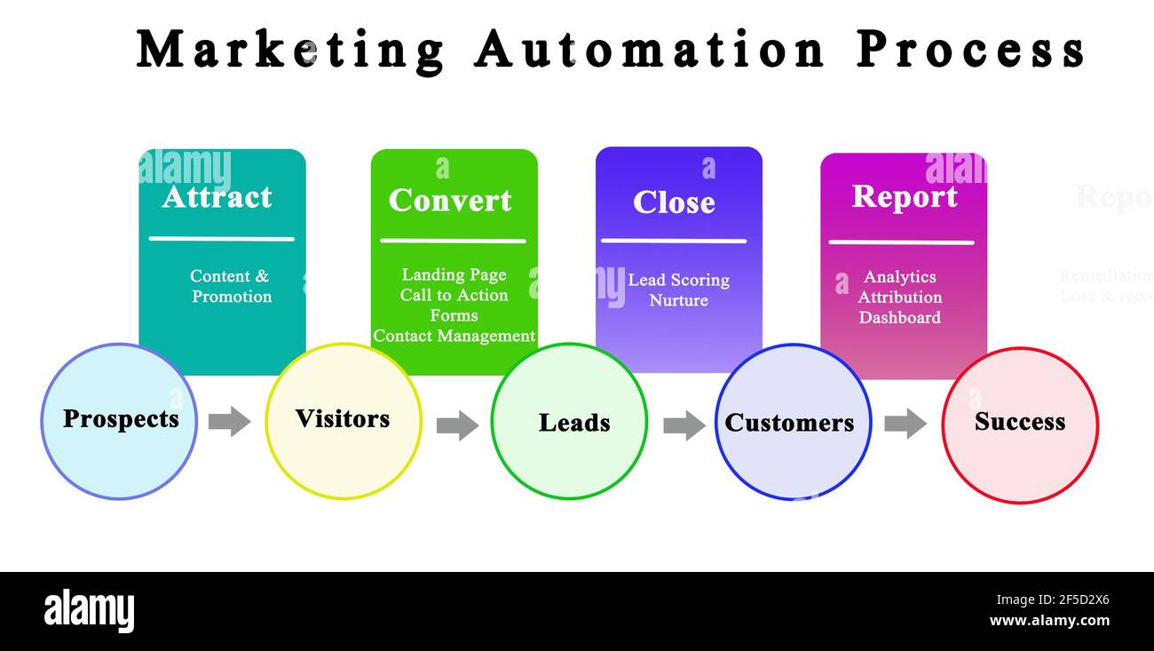Components of marketing automation process Stock Photo - Alamy