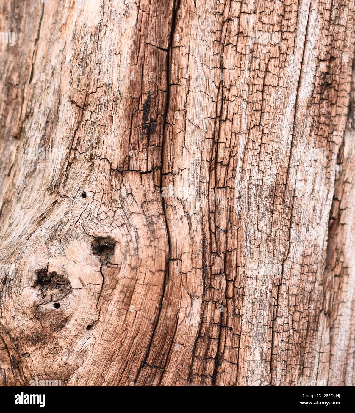 Weathered wood texture hi-res stock photography and images - Alamy