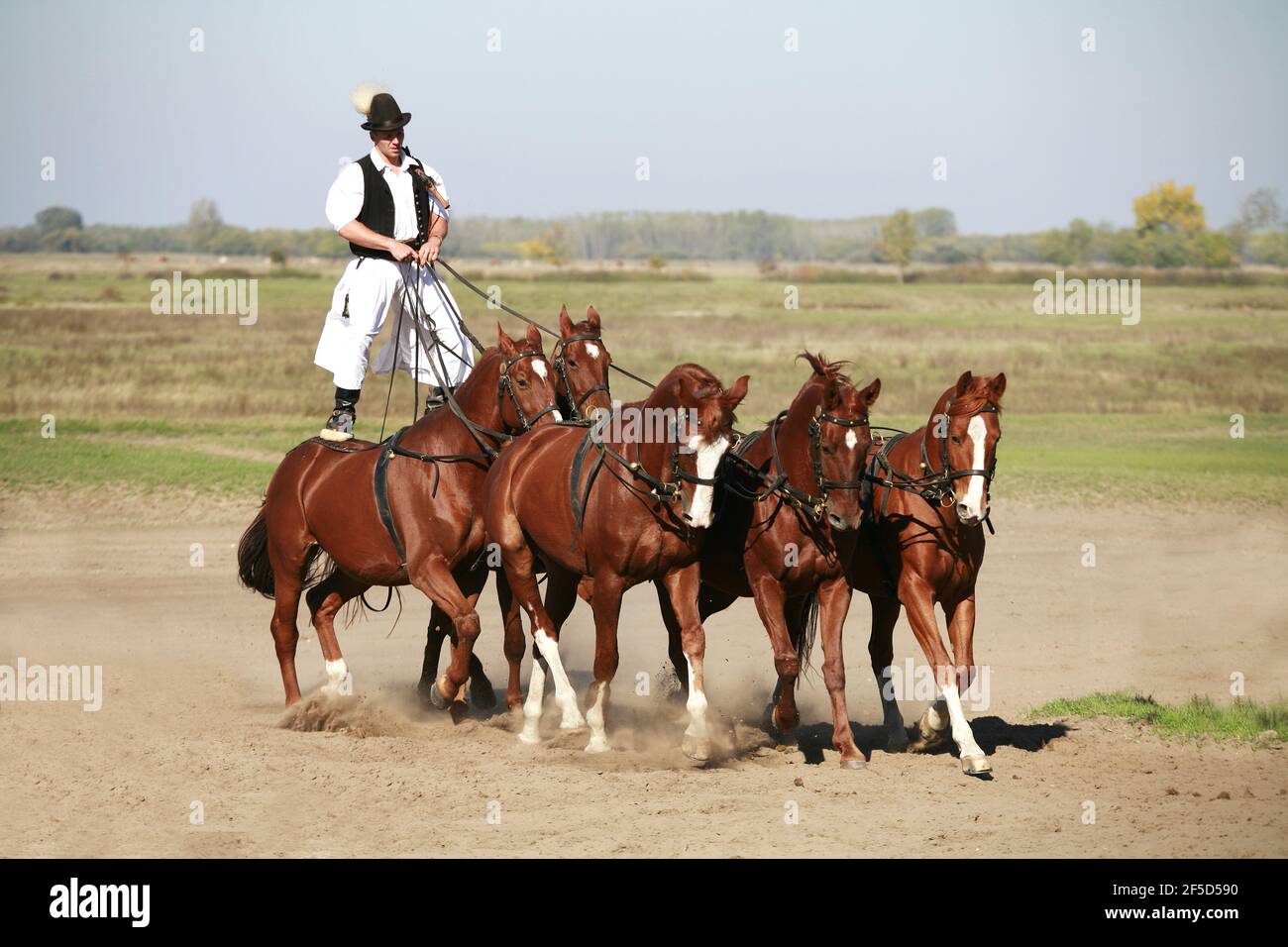 PUSZTA, HUNGARY, SEPTEMBER, 04. 2020: Hungarian csikos in traditional ...