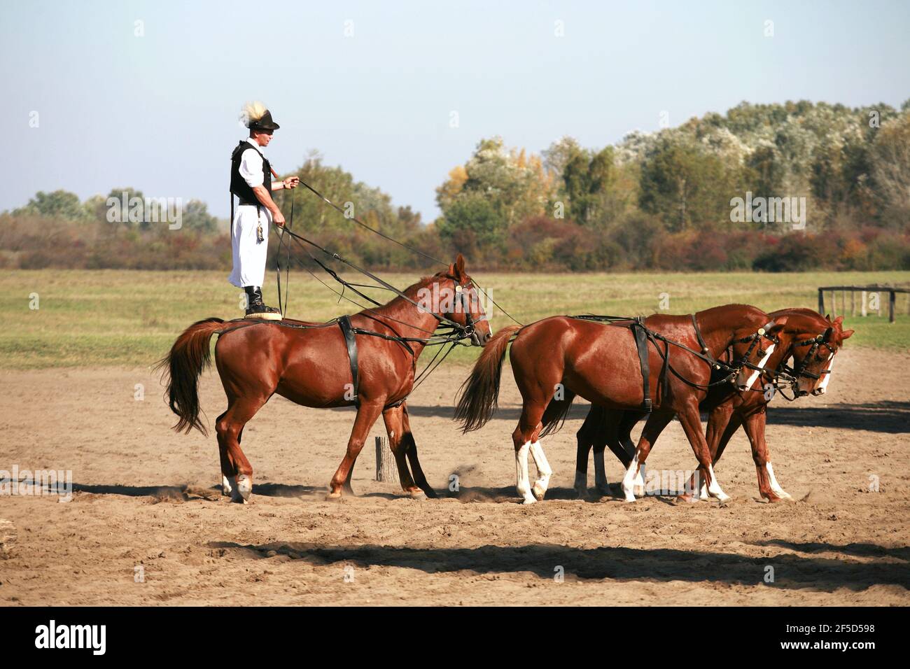 PUSZTA, HUNGARY, SEPTEMBER, 04. 2020: Hungarian csikos in traditional ...