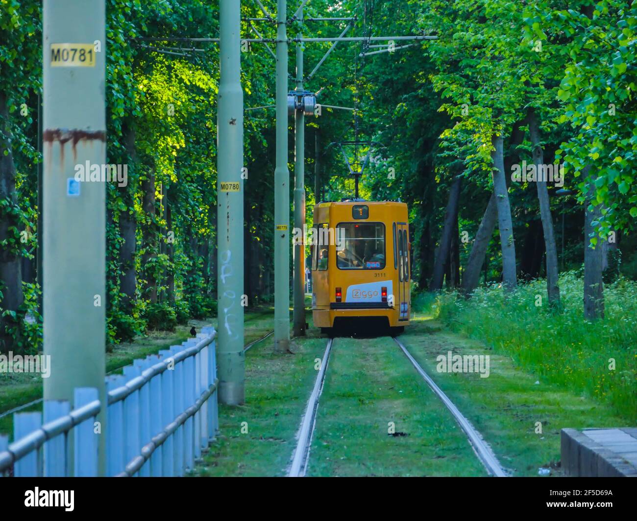 Den Haag Tram Stock Photo - Alamy Den Haag Tram Stock Photo - Alamy