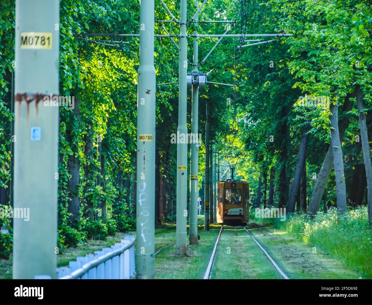 Den Haag Tram Stock Photo - Alamy Den Haag Tram Stock Photo - Alamy