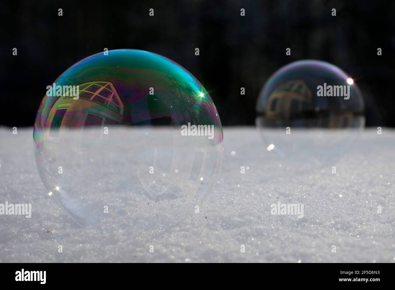 two soap bubbles on snow, Germany Stock Photo - Alamy