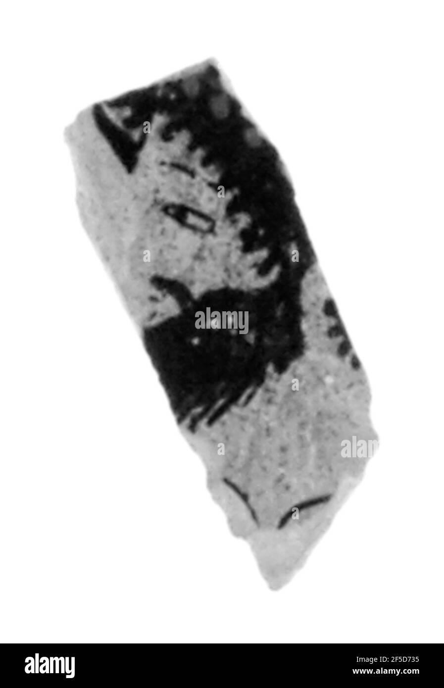 Attic Red-Figure Kylix Fragment. Makron (Greek (Attic), active about ...