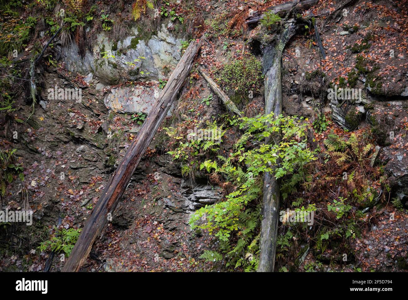 Fallen wall hi-res stock photography and images - Alamy