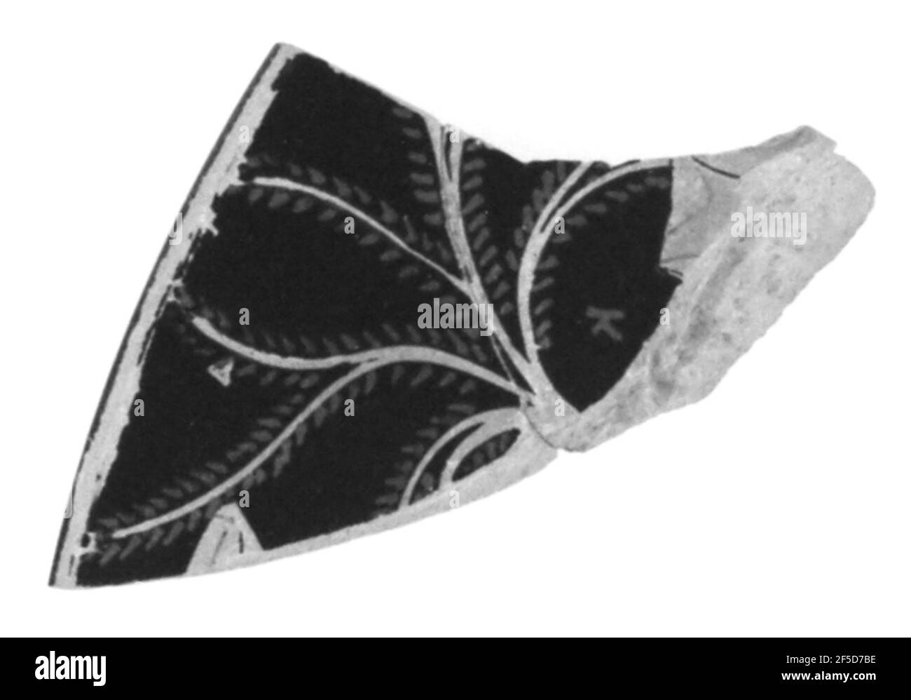 Attic Red-Figure Rhyton or Kantharos Fragment (comprised of 2 joined ...