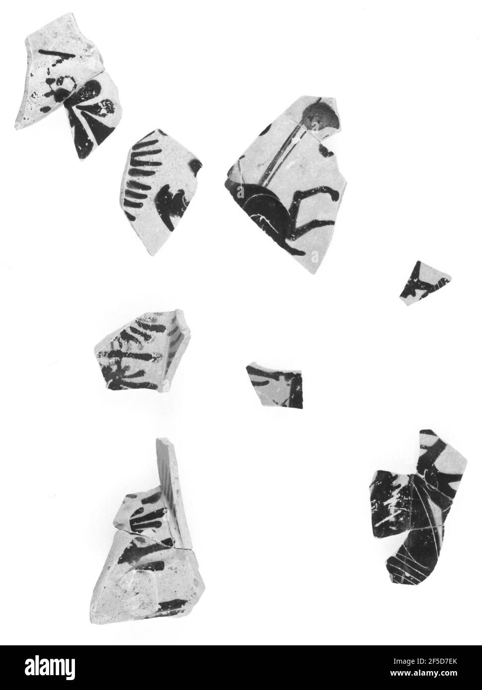Attic Black-Figure Neck Amphora Fragment. Unknown Stock Photo - Alamy