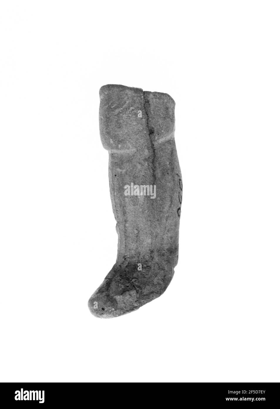Fine leg Cut Out Stock Images & Pictures - Alamy