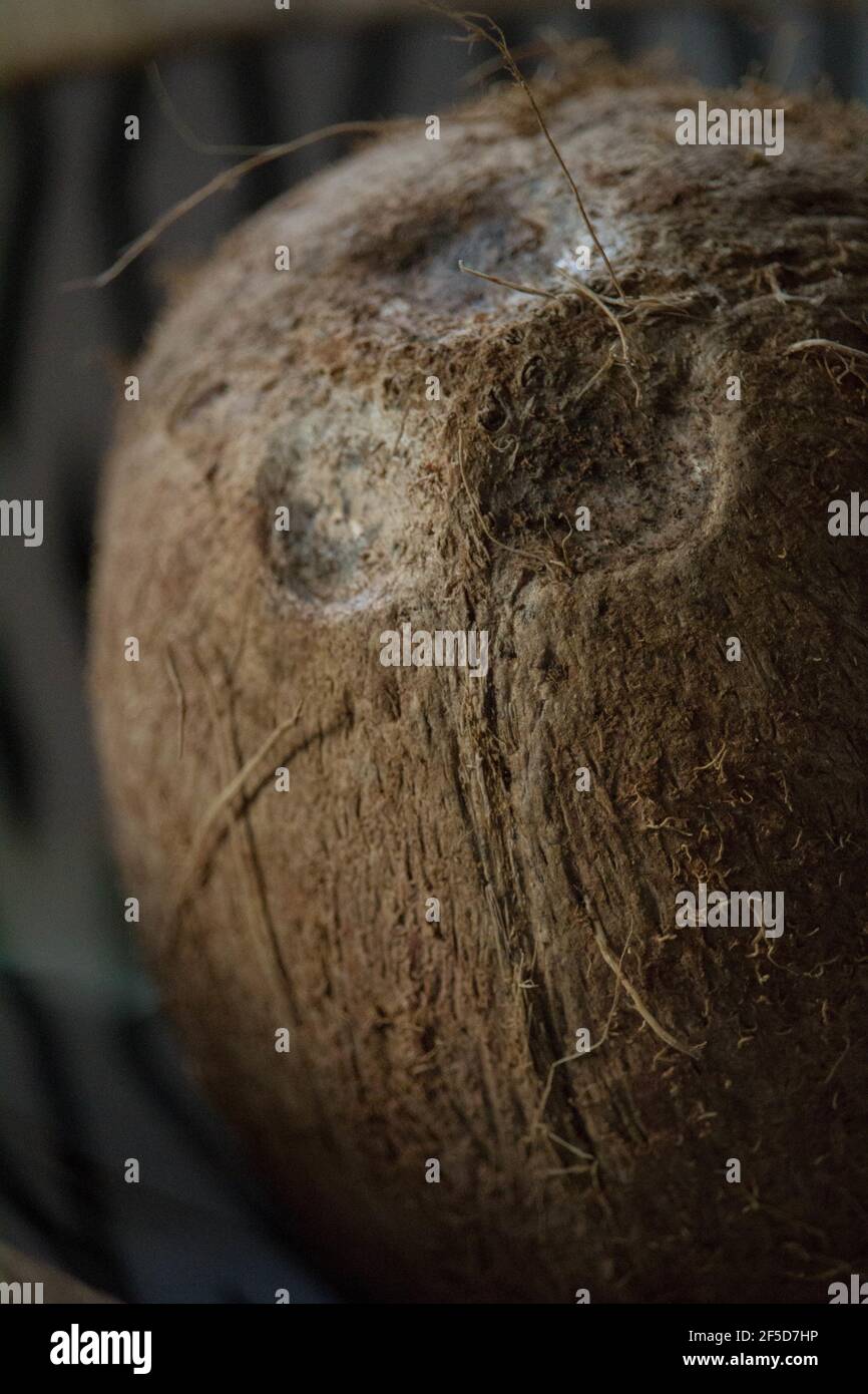 Outer husk of the coconut hi-res stock photography and images - Alamy