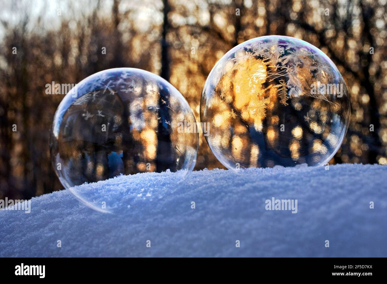Bubble Ice Crystals Frozen Freezing Soap Bubbles – Nature's Crystal
