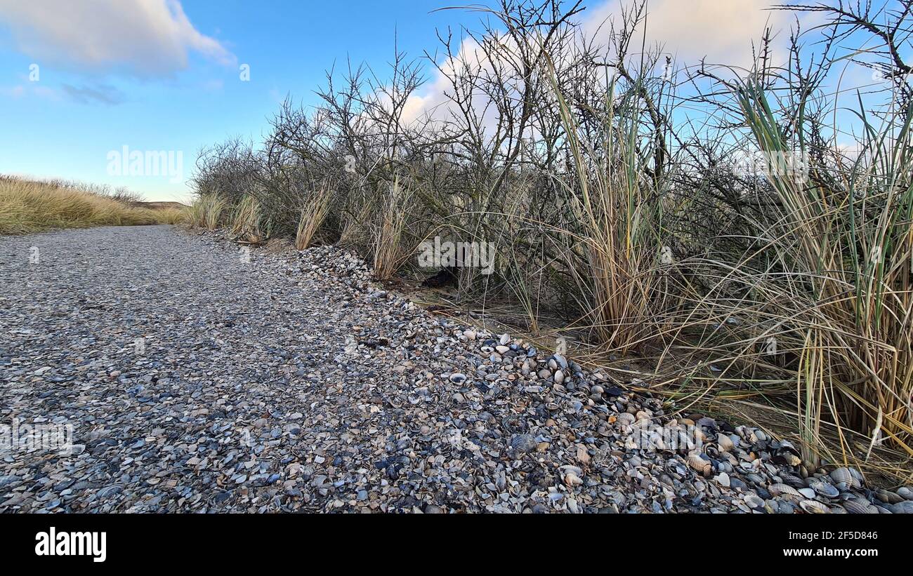 Pathway through dunes hi-res stock photography and images - Alamy