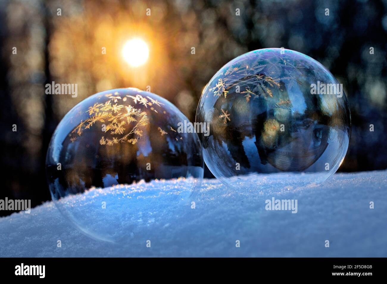 freezing soap bubbles with ice crystals on snow, Germany Stock Photo ...