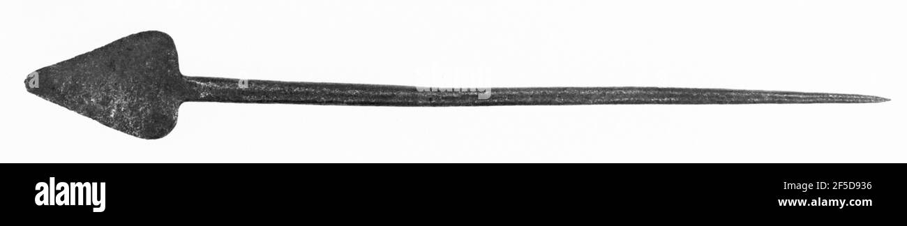 Triangular head hi-res stock photography and images - Alamy